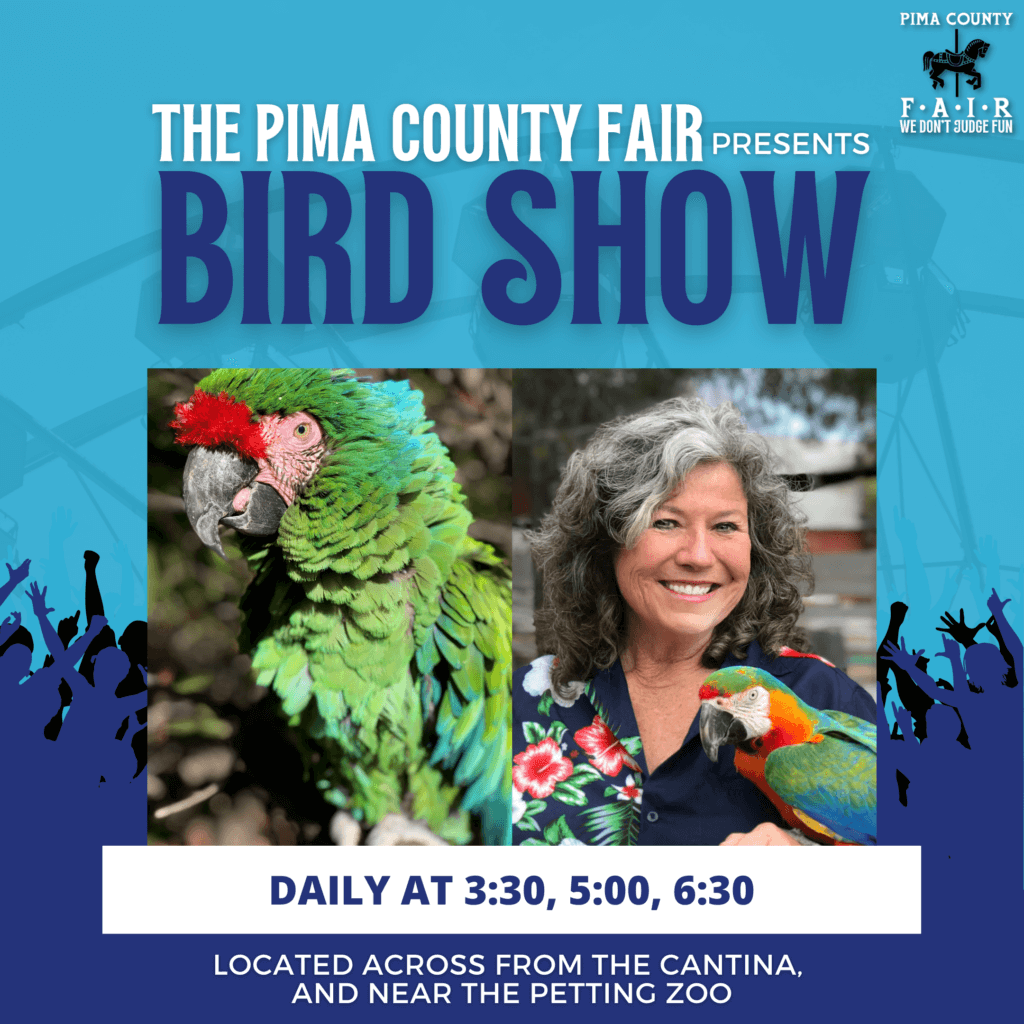 Fair Entertainment - Pima County Fair