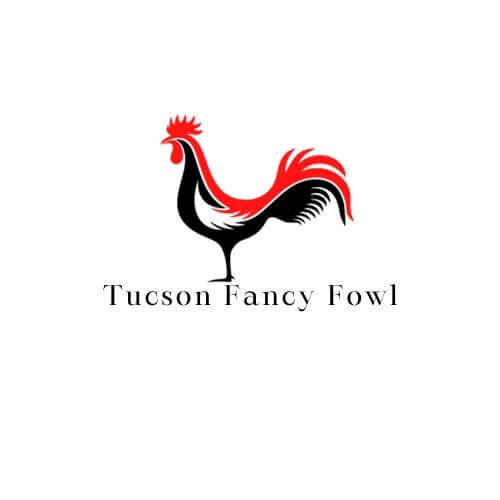 Tucson Fancy Fowl - Pima County Fair