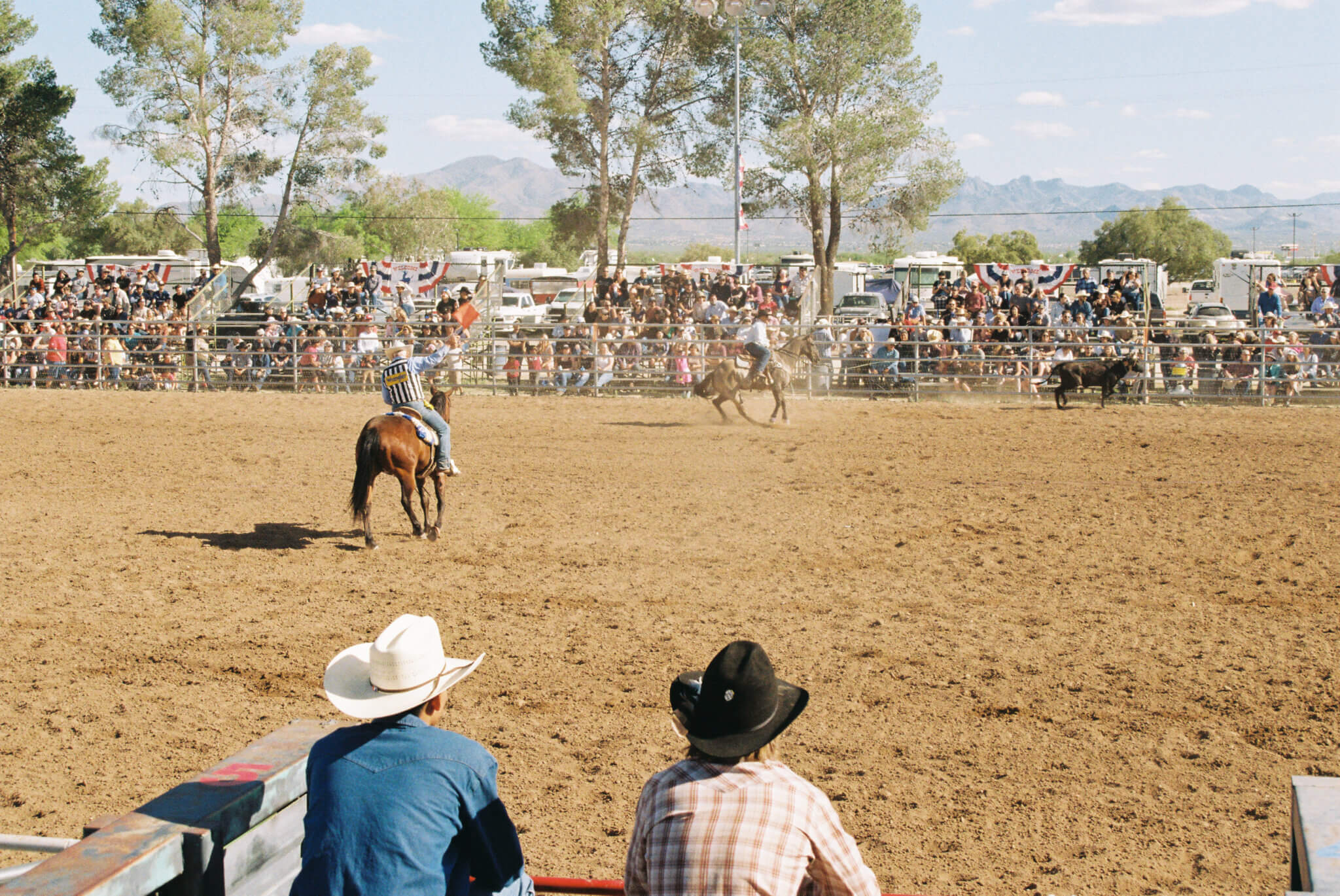 Arenas, Equestrian and Livestock Facilities - Pima County Fair